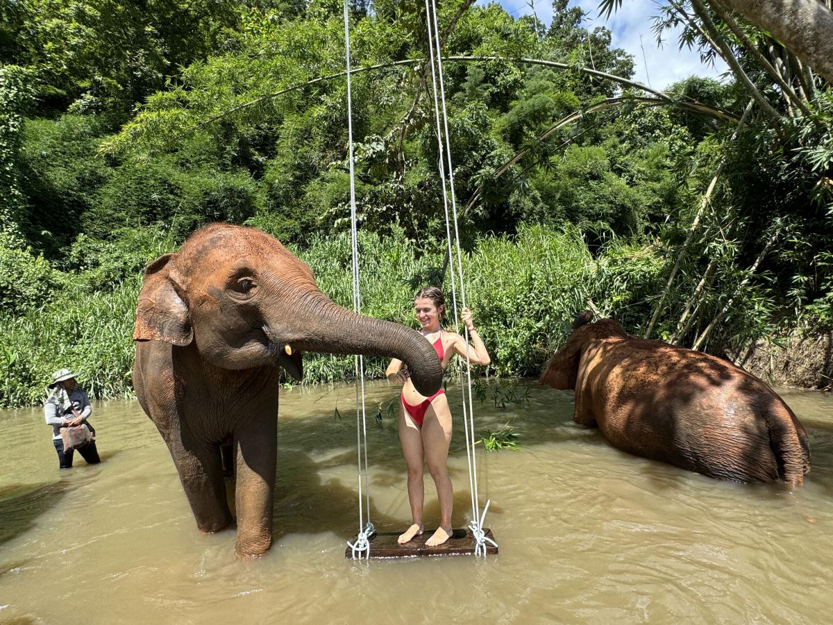 Chiang Mai Morning: Elephant Sanctuary & Waterfall Tour : Elephant ChiangMai Thailand Elephant ...